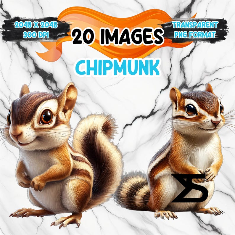 Watercolor Chipmunk PNG Image on Transparent Background, Digital ...