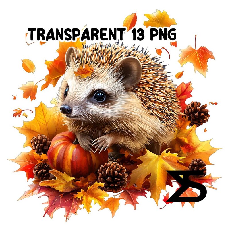 Watercolor Fall Hedgehog PNG Image on Transparent Background, Digital ...