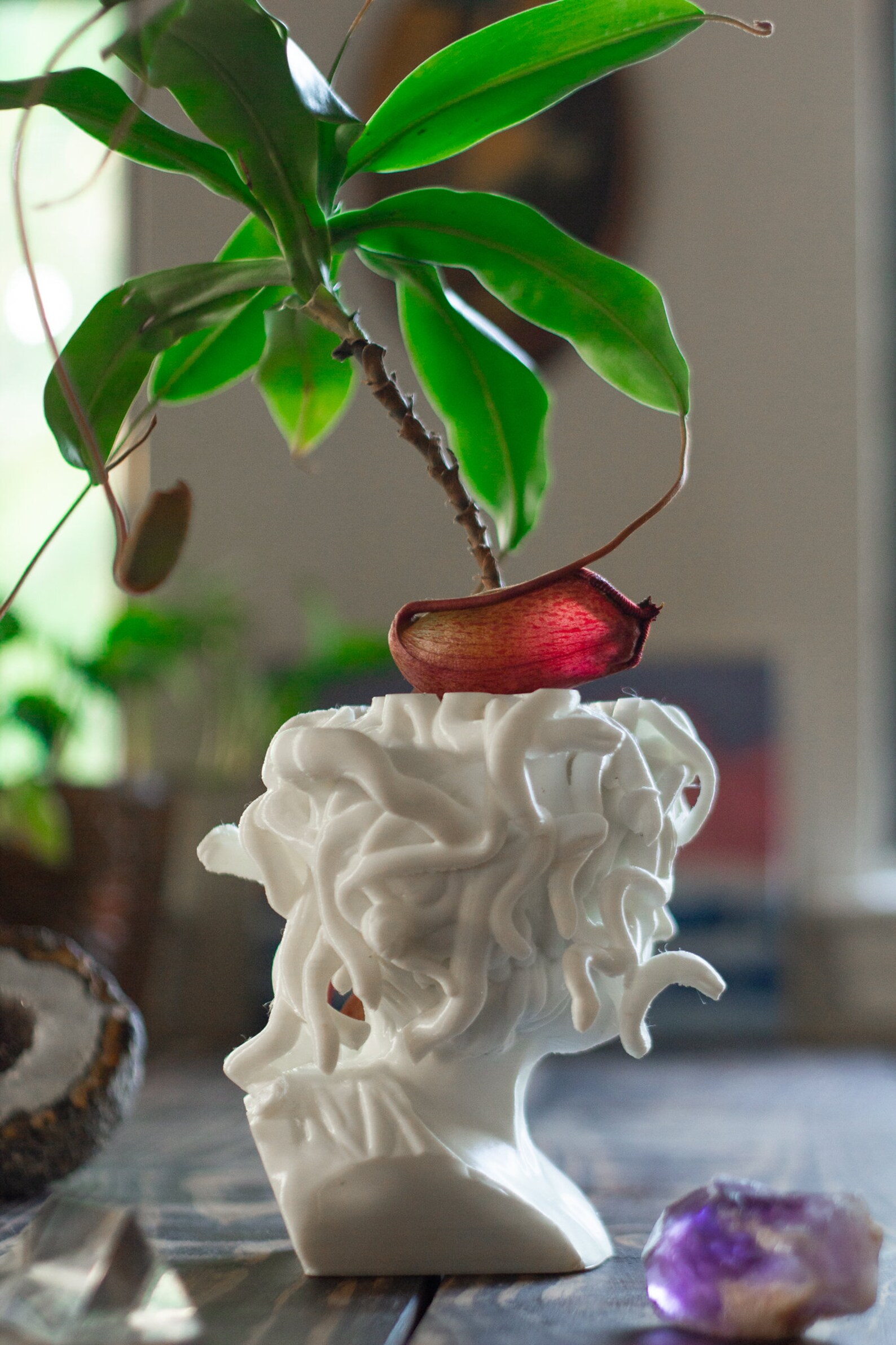 Medusa Succulent Planter, Greek Mythology, Gaming Decor, Gothic ...