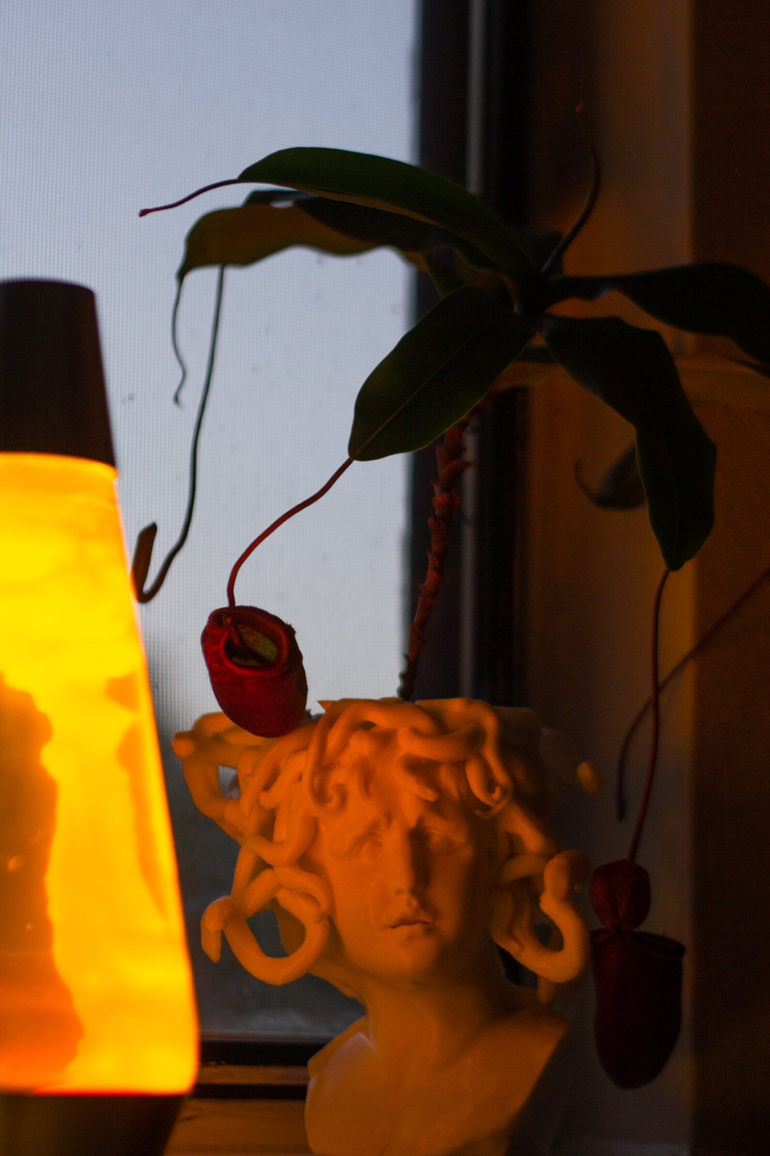 Medusa Succulent Planter, Greek Mythology, Gaming Decor, Gothic ...