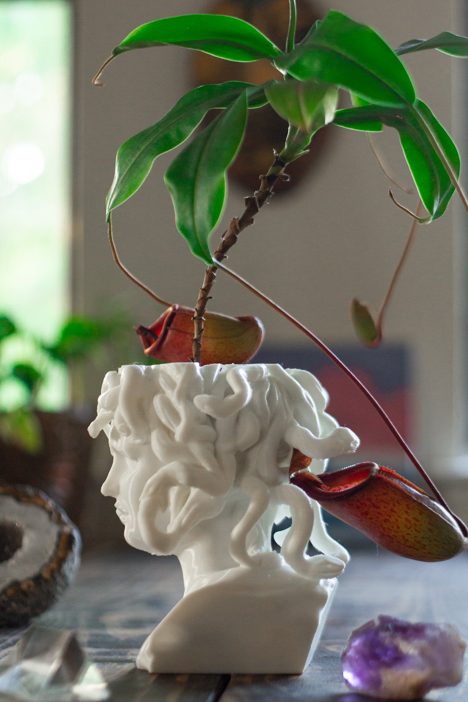 Medusa Succulent Planter, Greek Mythology, Gaming Decor, Gothic ...