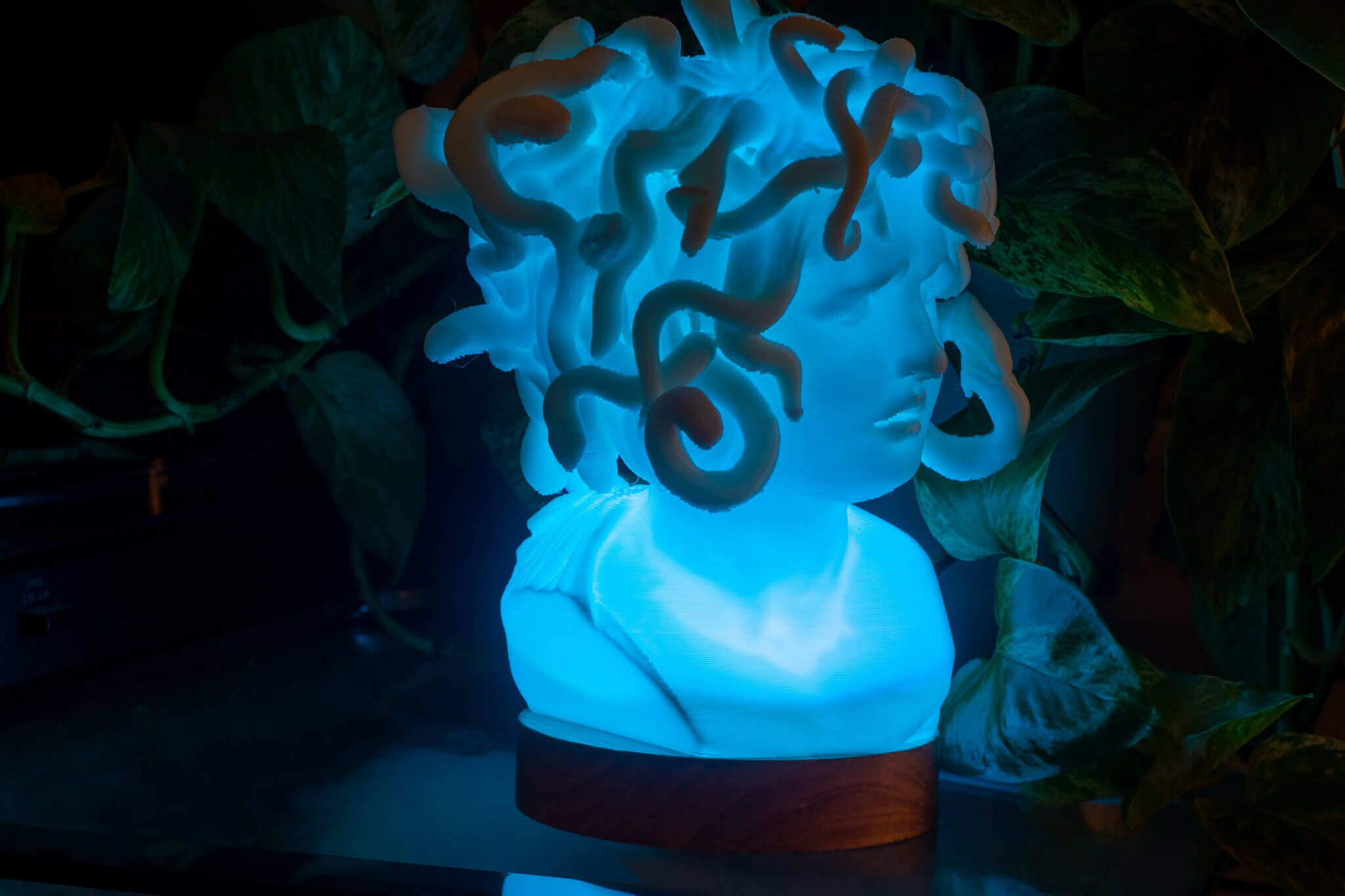 Medusa Bust Lamp Mythology RGB Light Color Changing Gaming - Etsy