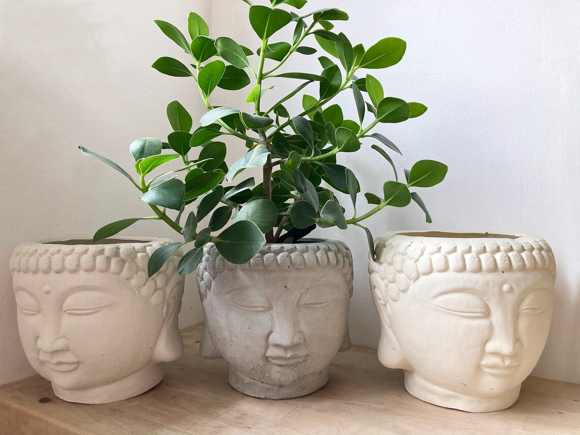 Large Buddha Face Plant Pot Large Buddha Head Planter Face | Etsy