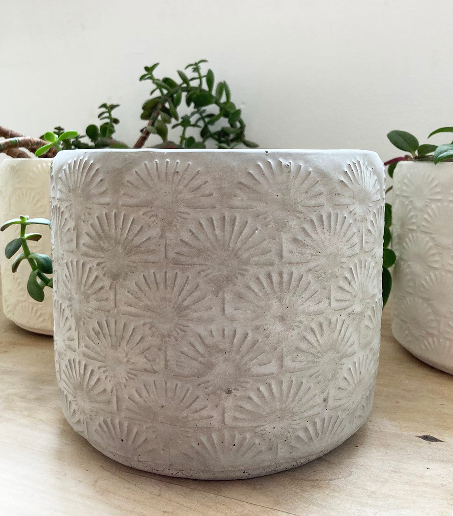 Large Textured Concrete Plant Pot Handmade Grey White or | Etsy UK