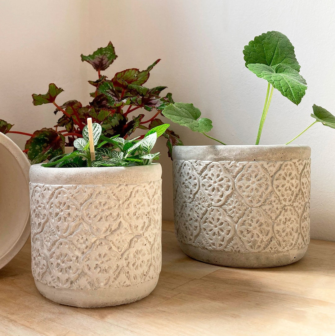 Handmade Textured Concrete Planter: Neutral Cement Flower Pot - Etsy UK