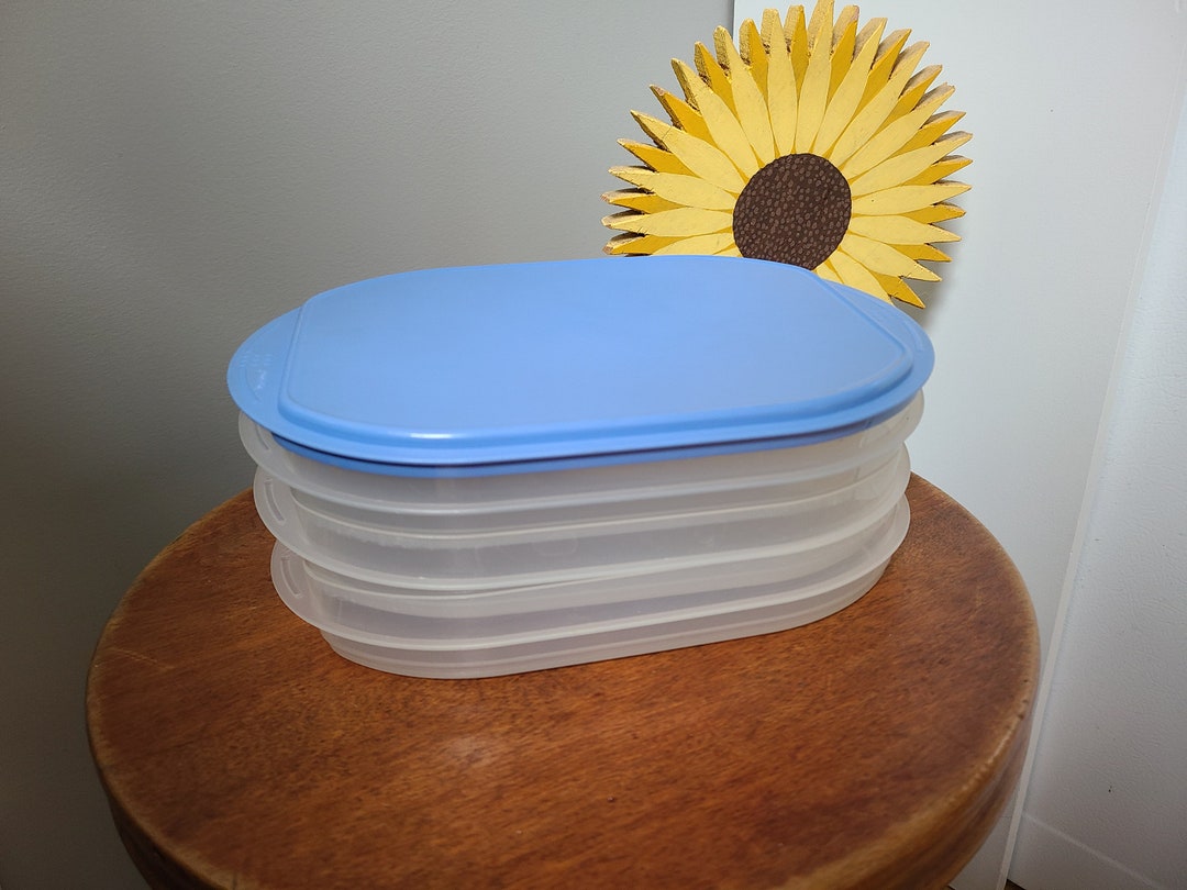 Vintage TUPPERWARE Fridge Stackable Deli Meat & Cheese Keeper Sheer Sky ...
