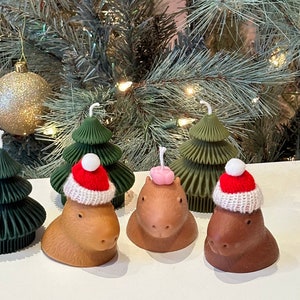 Capybara Candle| Capybara Lover Gift| Capybara Decor| Home Decor| Funny ...