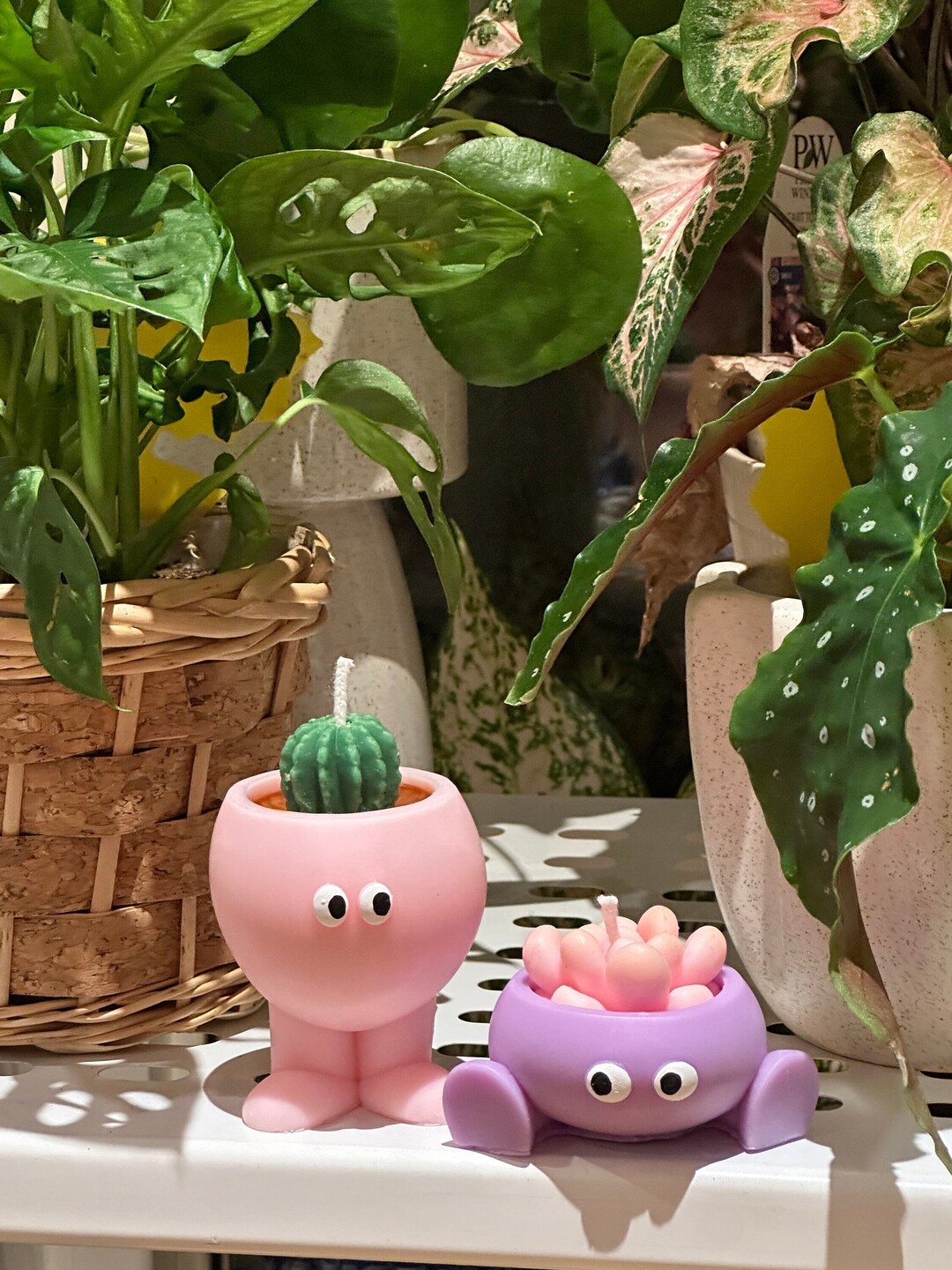 Pot Buddy- TALL Pot Buddy | Succulent Candles| Cute Candles|desk Decor ...