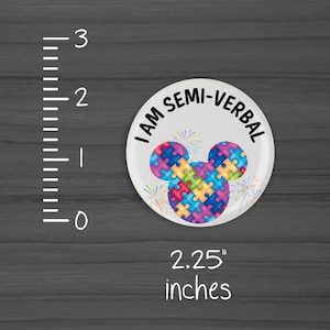 Hidden Disabilities Badge Pins, Autism, ADHD, Chronic Pain, Sensory ...