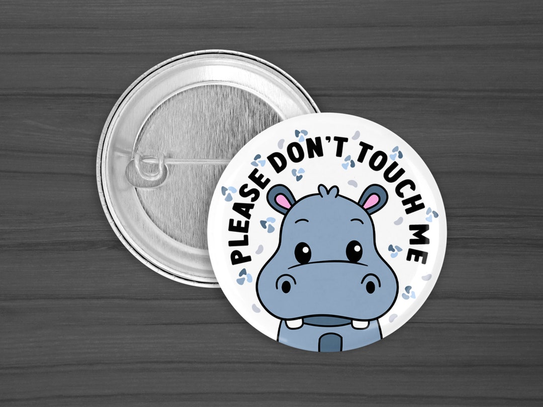 Please Don't Touch Me Autism Awareness Pin, Neurodiversity Acceptance ...
