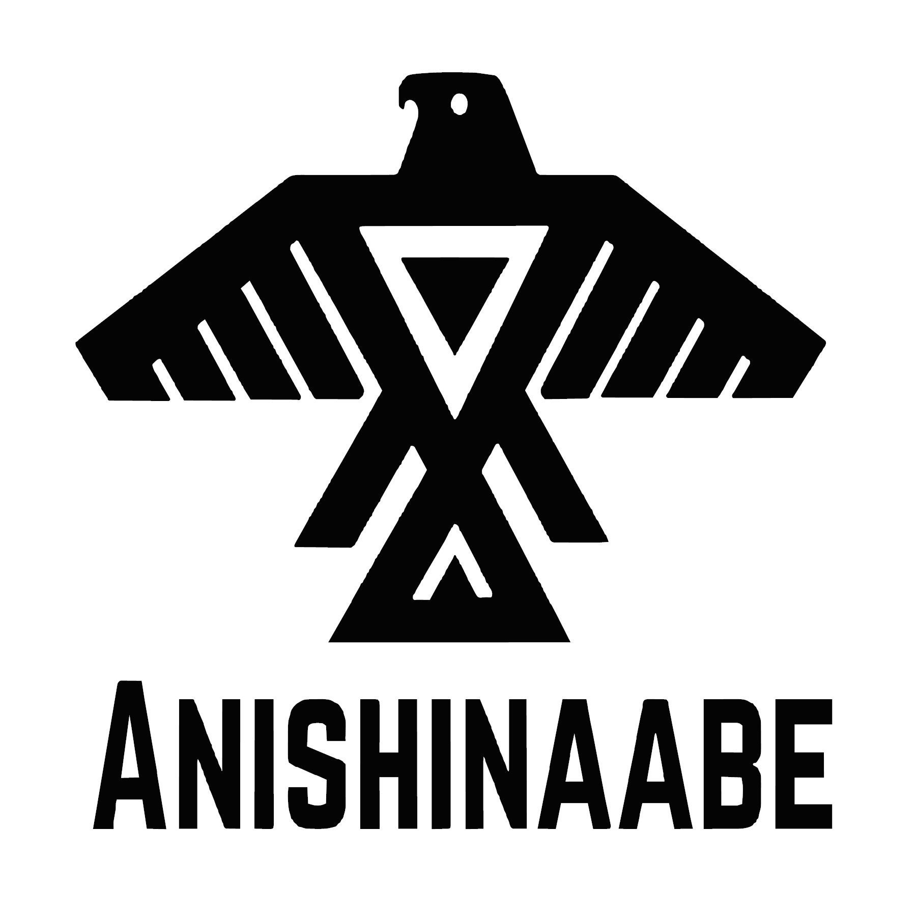 Anishinaabe Car Decal Indigenous Native - Etsy