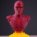 Marvel Busts (any Color) - Etsy
