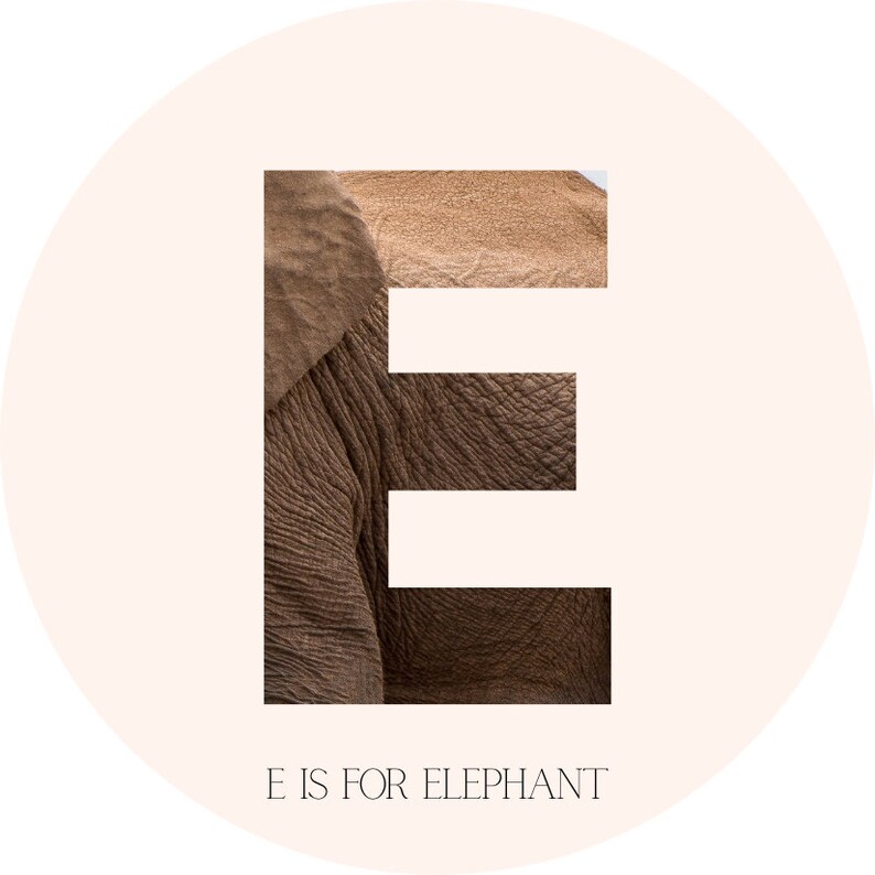 Animal Print Alphabet Posters Classroom Alphabet Classroom - Etsy