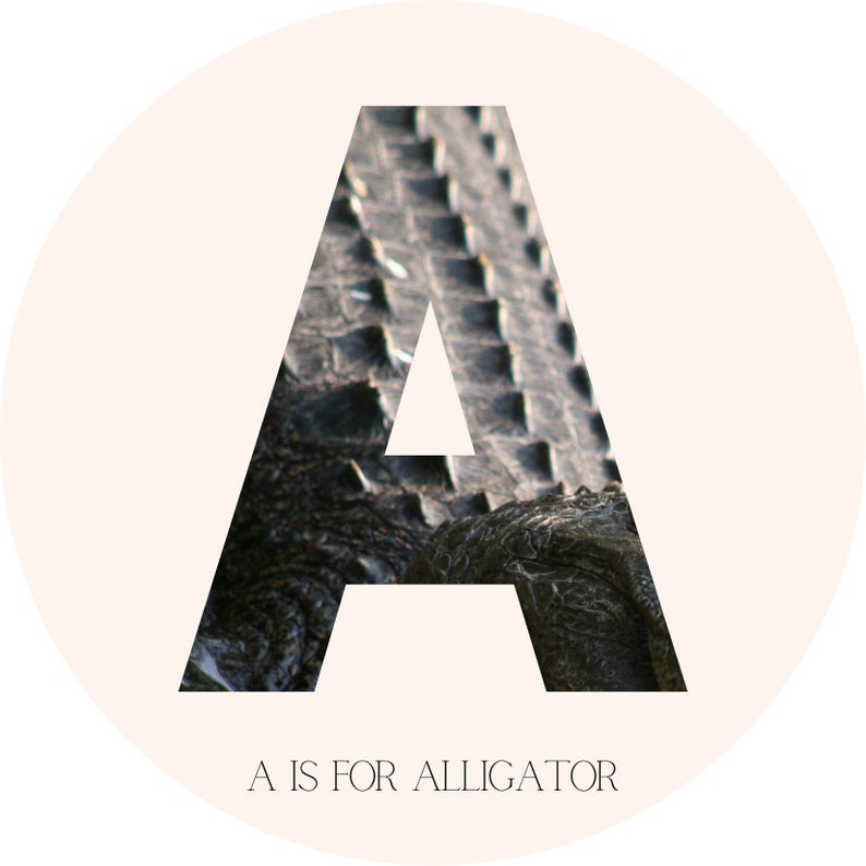 Animal Print Alphabet Posters Classroom Alphabet Classroom - Etsy