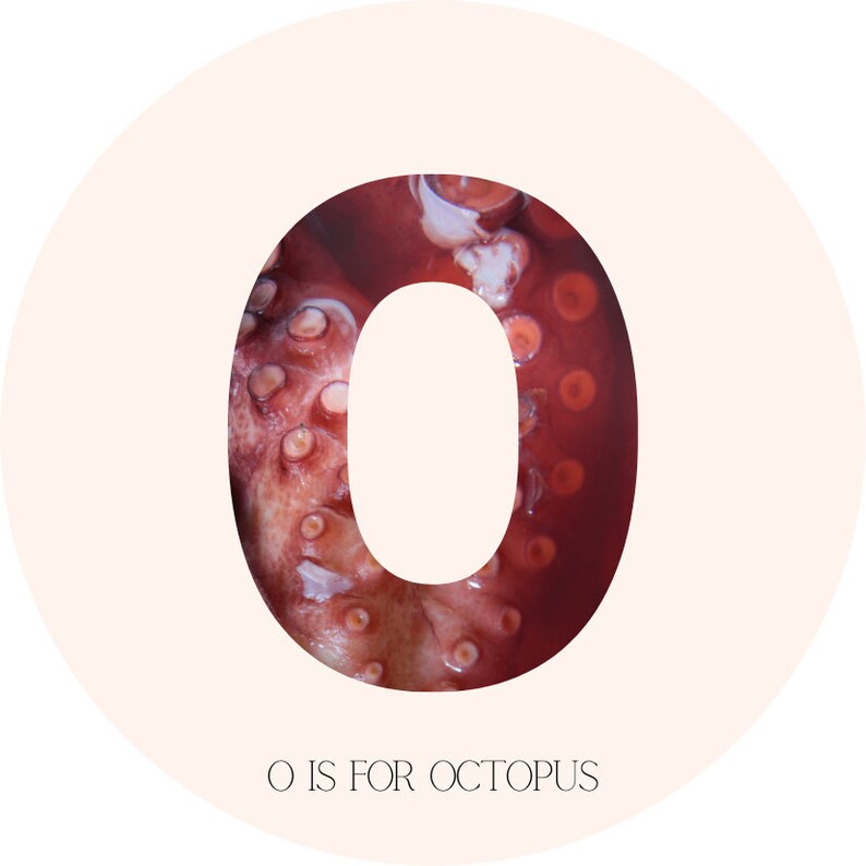 Animal Print Alphabet Posters Classroom Alphabet Classroom - Etsy