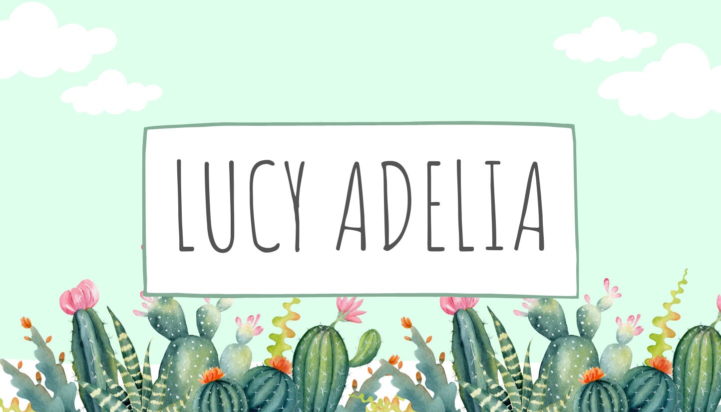 Cactus Themed Classroom Tags, Classroom Tags, Classroom Decor, Boho ...