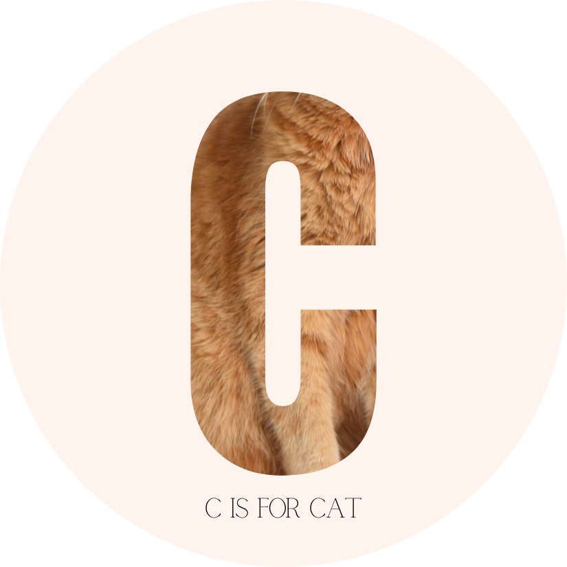 Animal Print Alphabet Posters Classroom Alphabet Classroom - Etsy