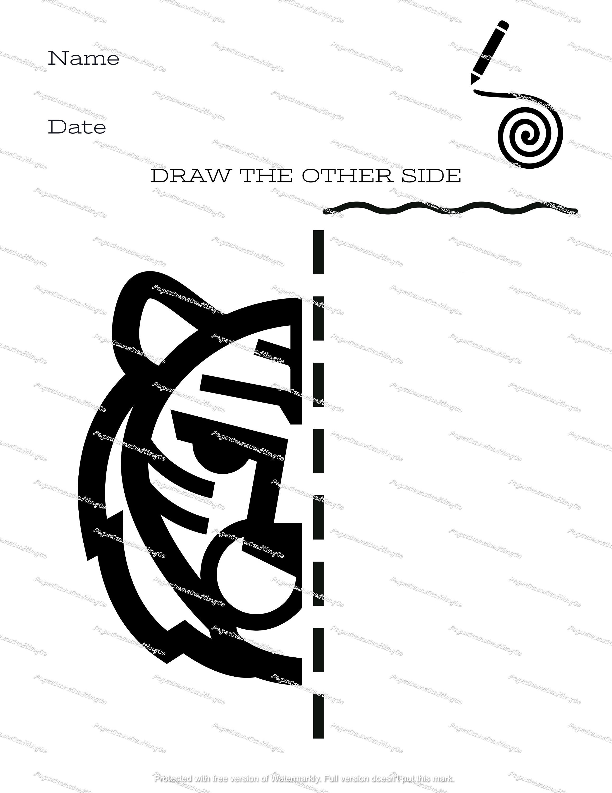Draw the Other Side Tiger Worksheet - Etsy