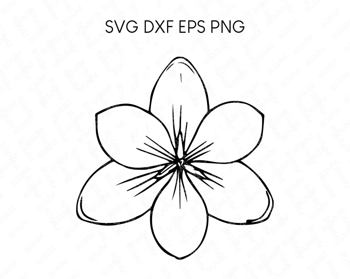 Flowers SVG Bundle Flower Shapes SVG Flower SVG Cut File for | Etsy