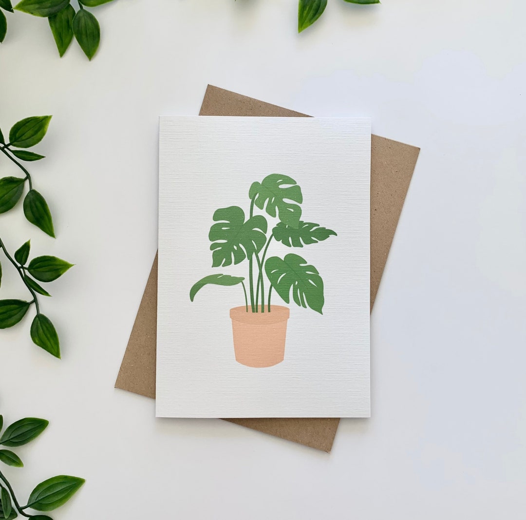 Monstera Plant, Plant Card, House Plants, Plant Lover, Any Occasion ...