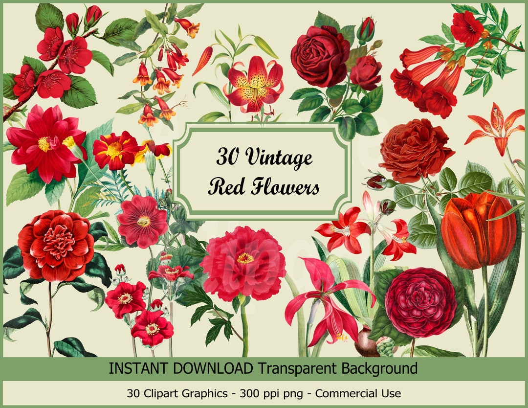 Vintage Red Flowers Clipart Flowers PNG Commercial Use Rose Flowers Set ...