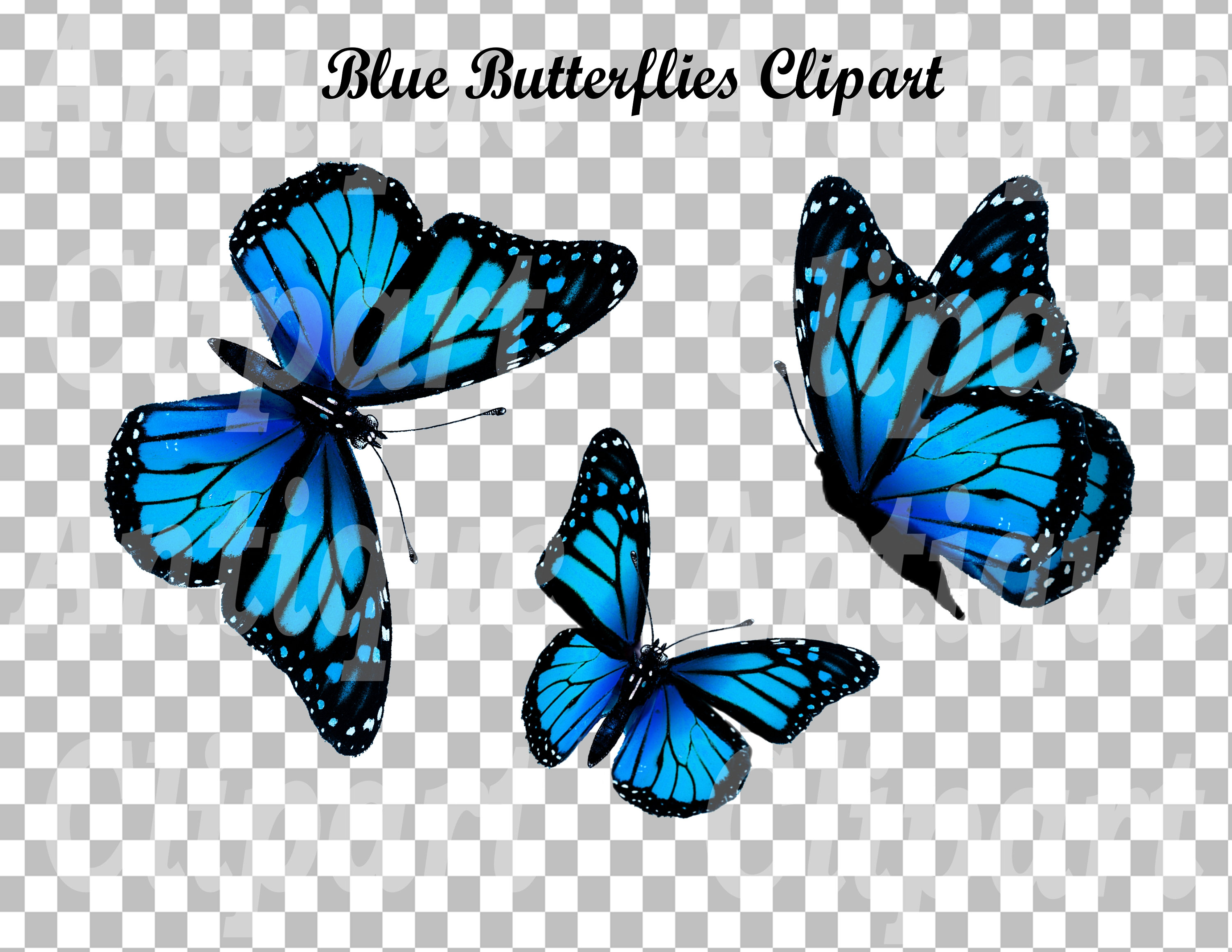 Blue Butterfly Clip Art