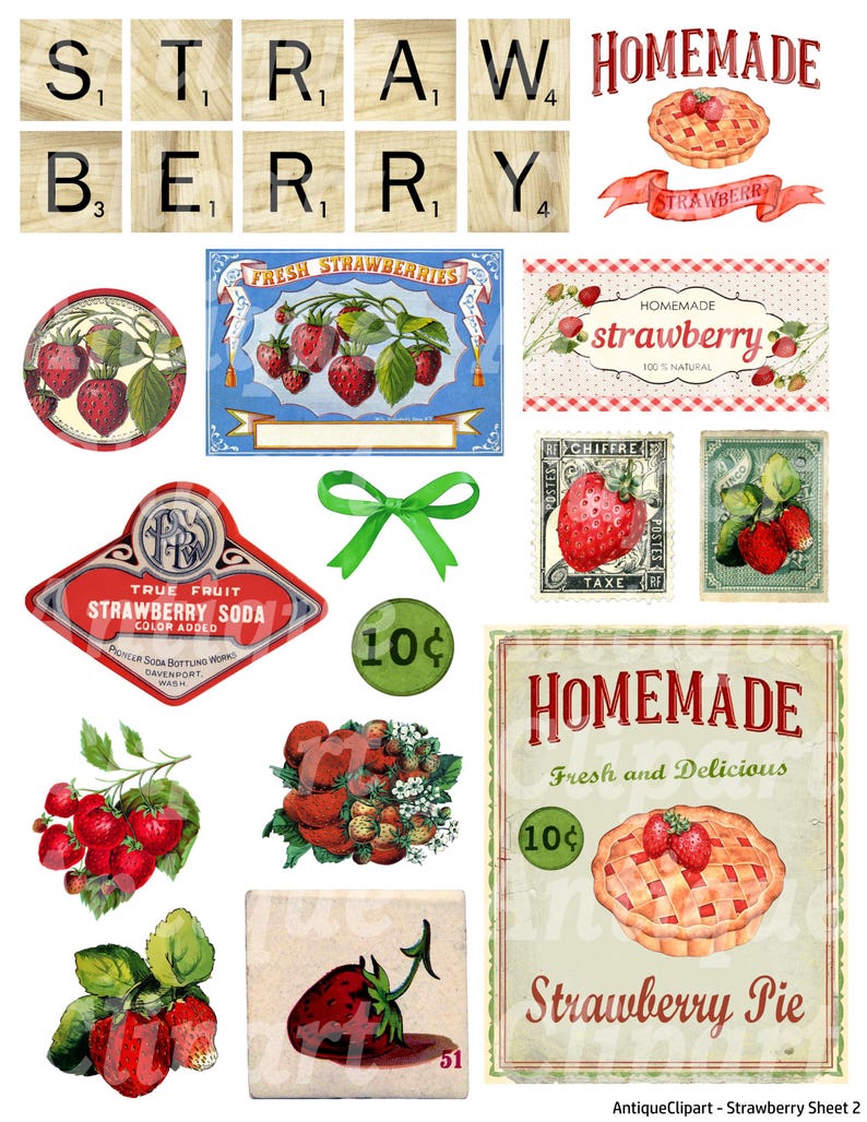 Vintage Strawberry Clipart Pngs: Fruit Collage Sheets (digital Download ...