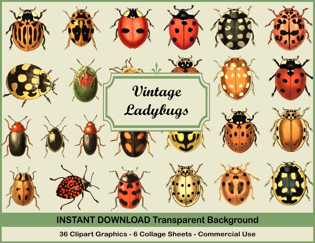 Ladybug Clipart & Collage Sheets Printable Sheet, Vintage Insect Art ...