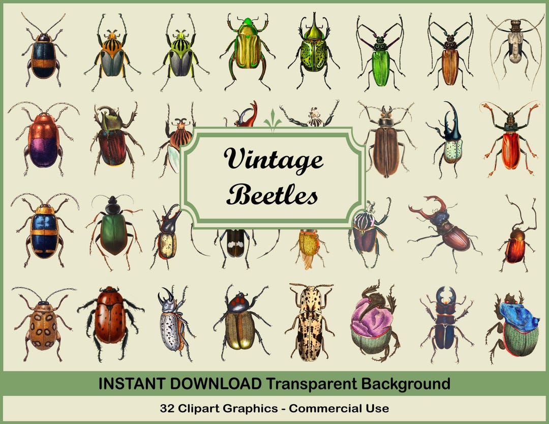 Vintage Beetles Clipart & Collage Sheets Printable Beetle Sheet, Insect ...
