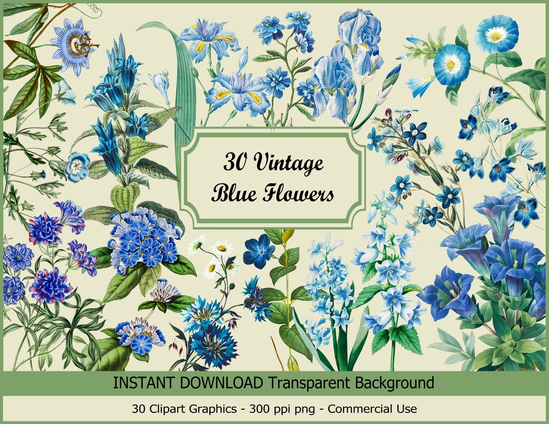 Vintage Blue Flower Clipart: 30 PNG Floral Graphics (commercial Use) - Etsy