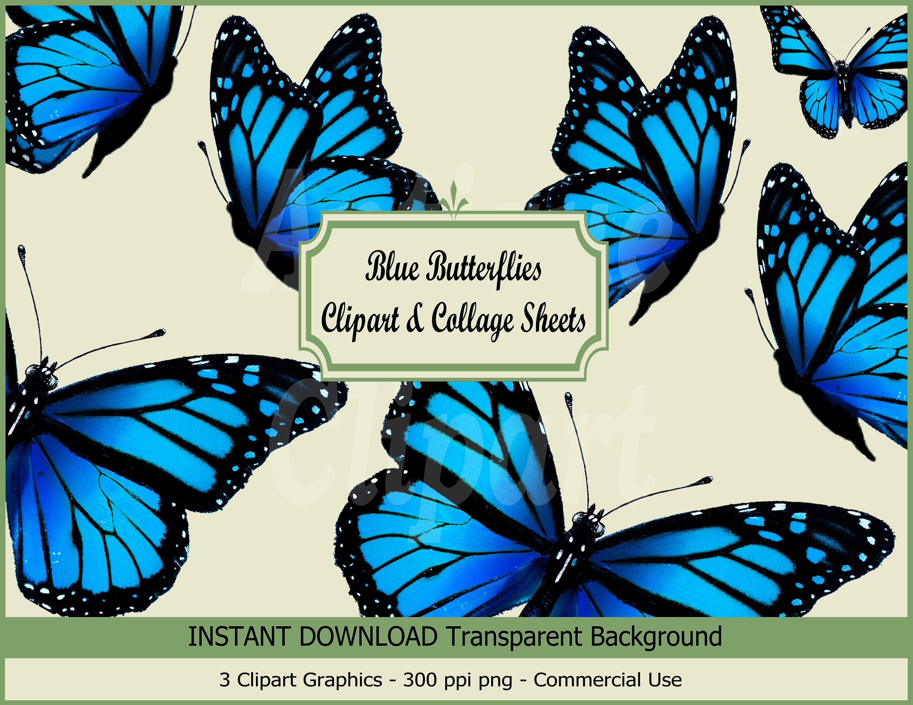 Blue Butterfly Clip Art