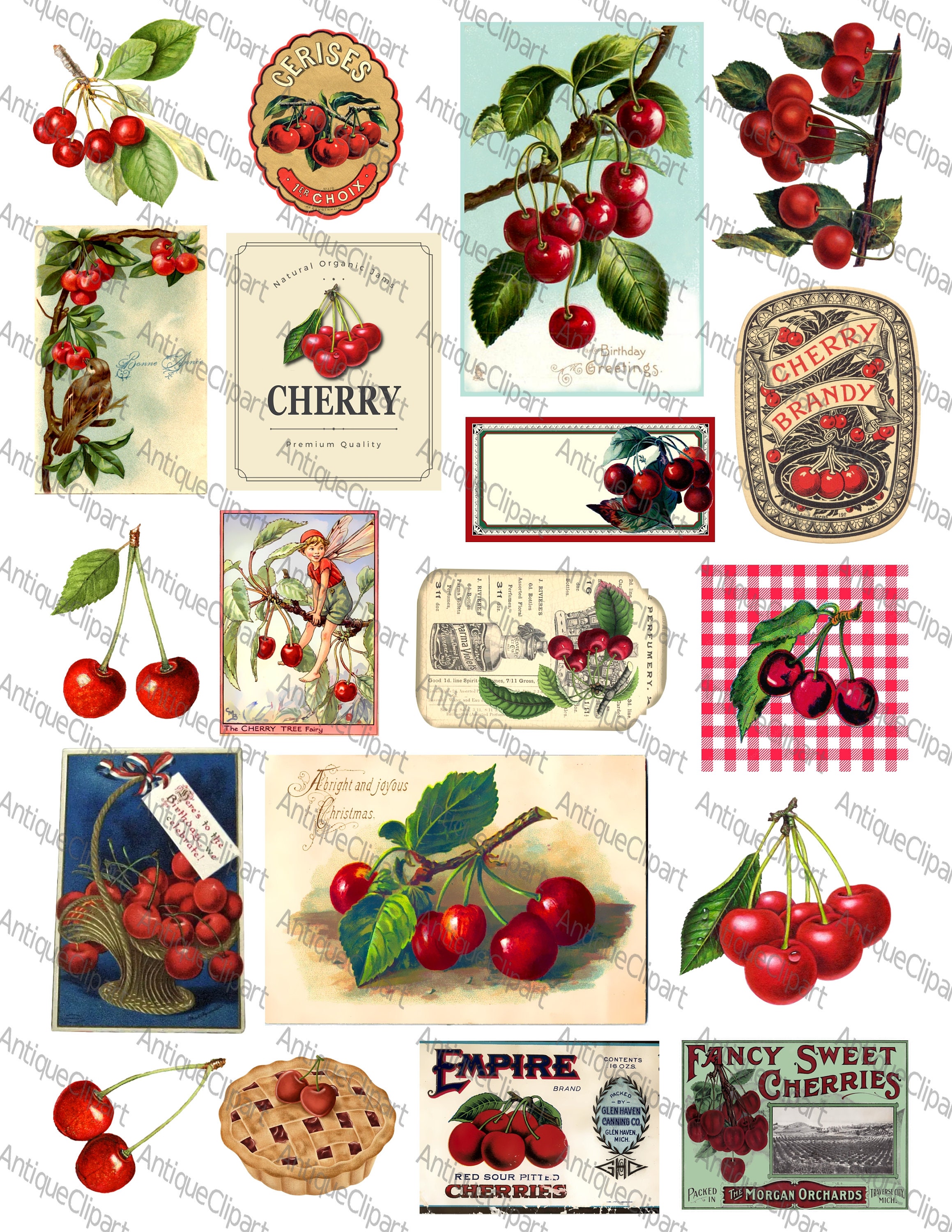 Antique Cherry Digital Cliparts Pngs Vintage Fruits Clip Art and ...