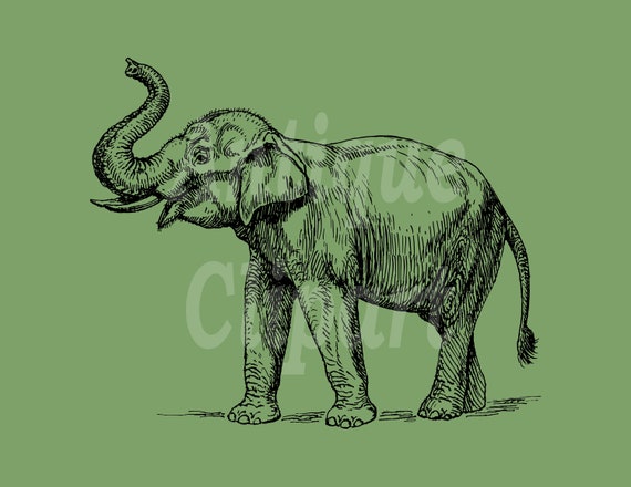 Vintage Elephant Clip Art
