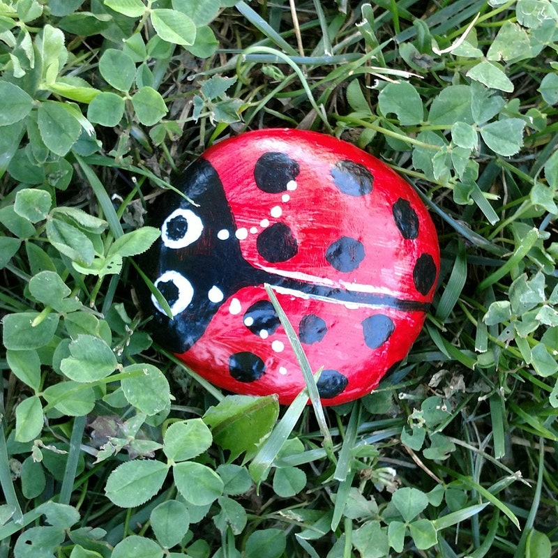 Ladybug Painted Rocks - Etsy