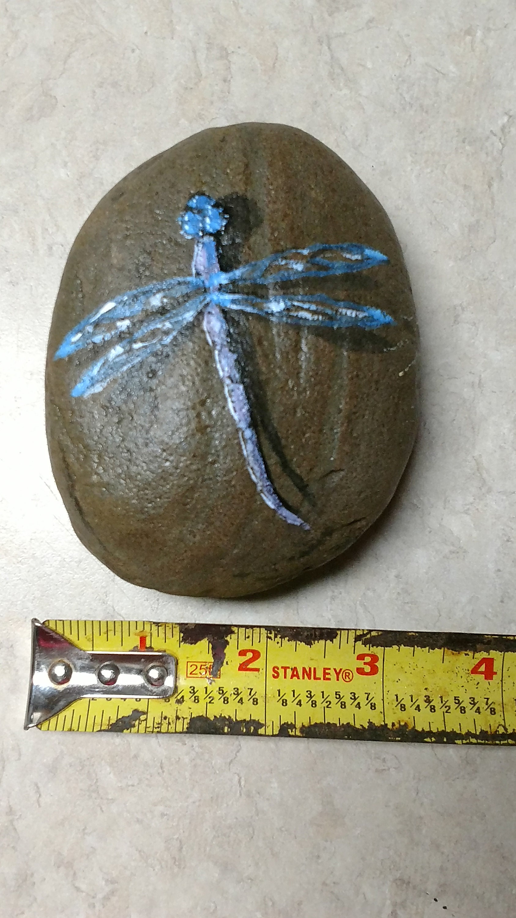 Dragonfly Landing on Rock - Etsy