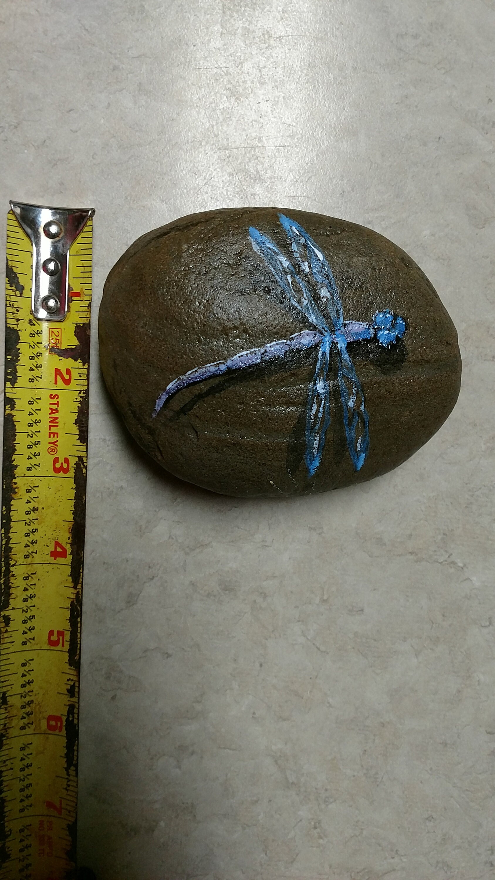 Dragonfly Landing on Rock - Etsy