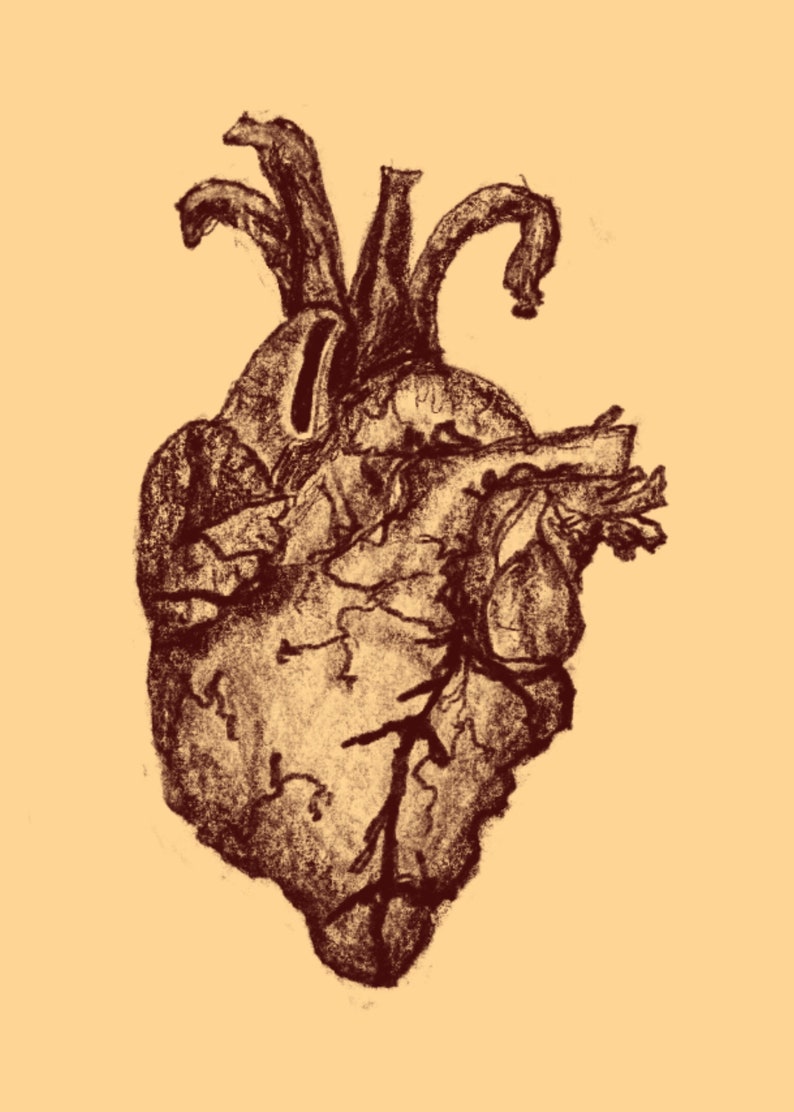 Shriveled Heart | Pencil Drawing | Art Print | Spooky Sketch - Etsy