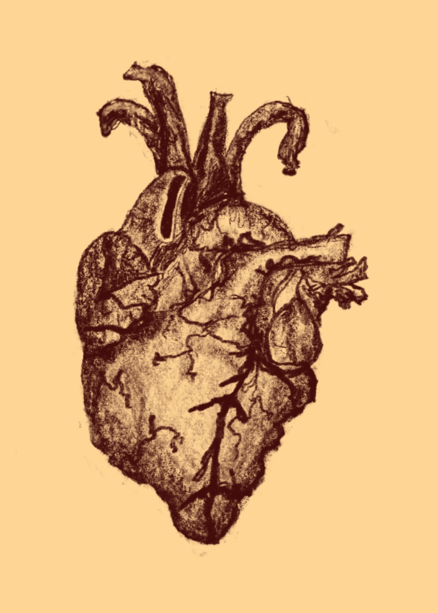 Shriveled Heart | Pencil Drawing | Art Print | Spooky Sketch - Etsy