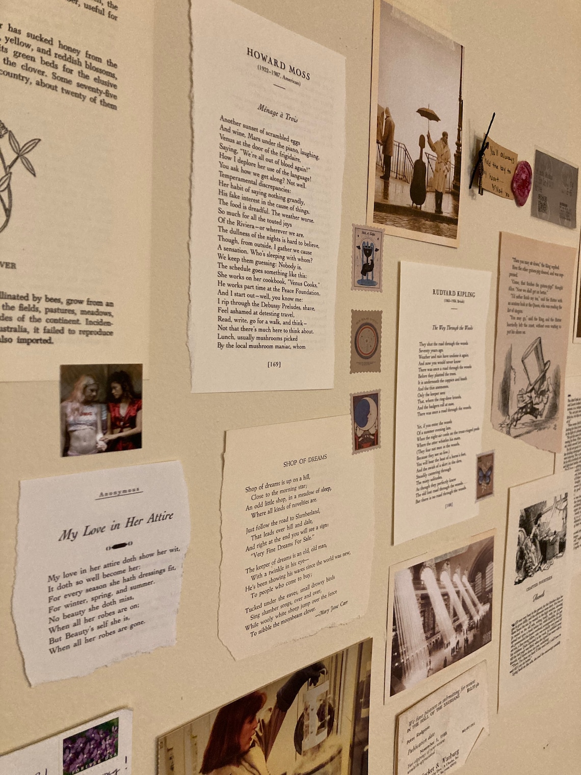 Found Poetry Package // Dark Academia Aesthetic Wall Art // - Etsy