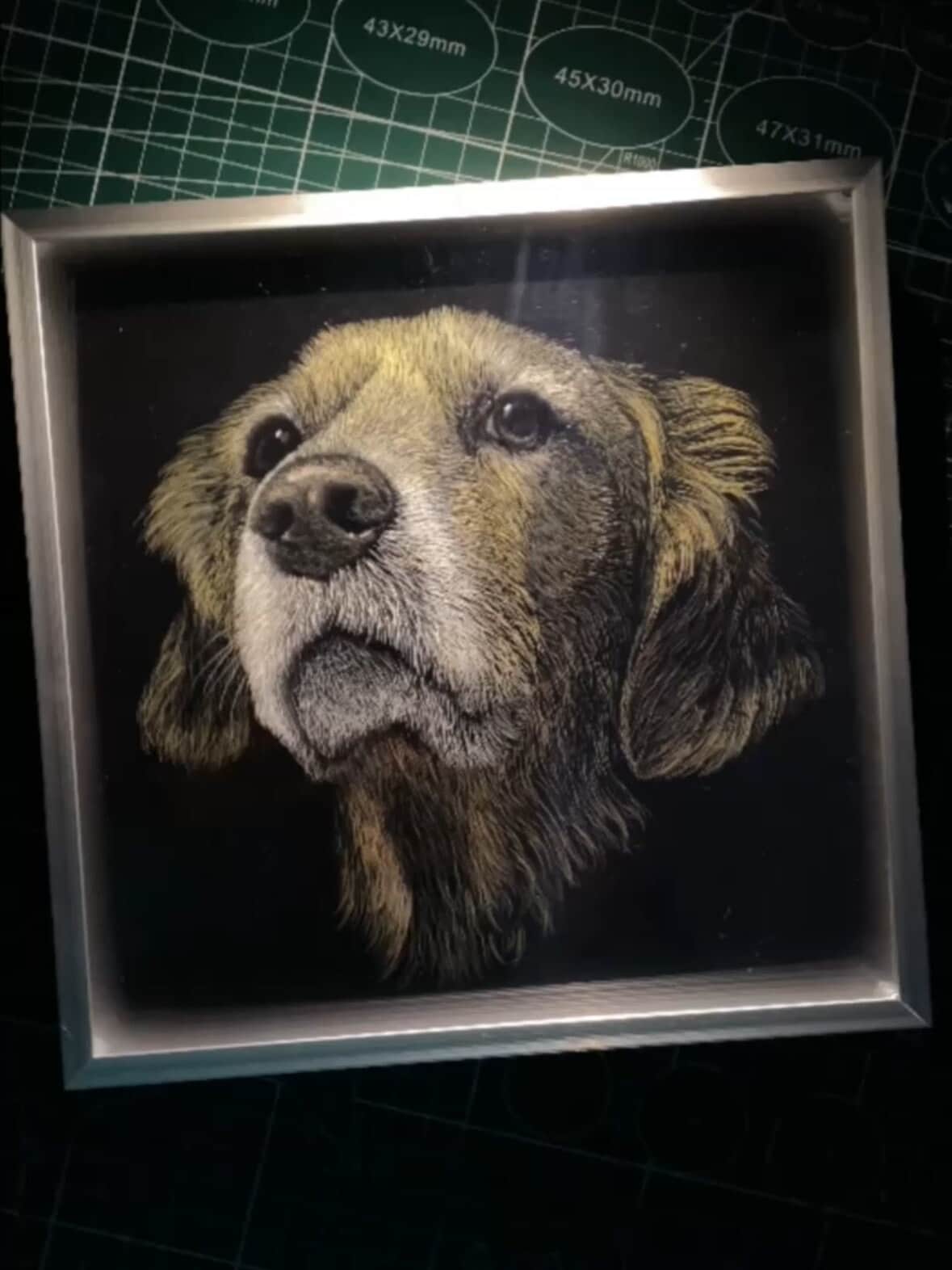 Unique Handmade 3D Pet Portraits Custom, Personalized, Artistry Beyond ...