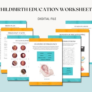 Anatomy of Pregnancy Facts & CHILDBIRTH EDUCATION Worksheet COURSE ...