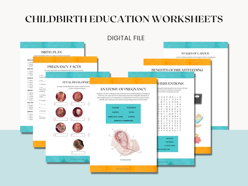 Anatomy of Pregnancy Facts & CHILDBIRTH EDUCATION Worksheet COURSE ...
