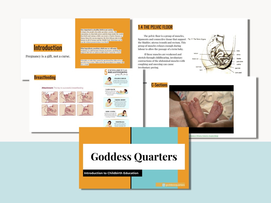 Anatomy of Pregnancy Facts & CHILDBIRTH EDUCATION Worksheet COURSE ...