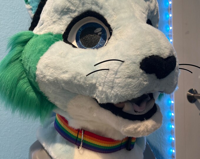 LGBTQ Pride Fursuit Collar - Etsy
