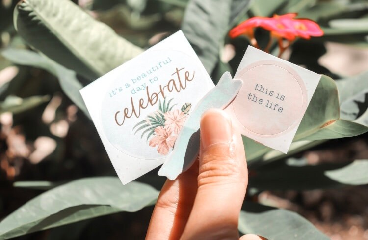 Surprise Sticker Pack | Etsy