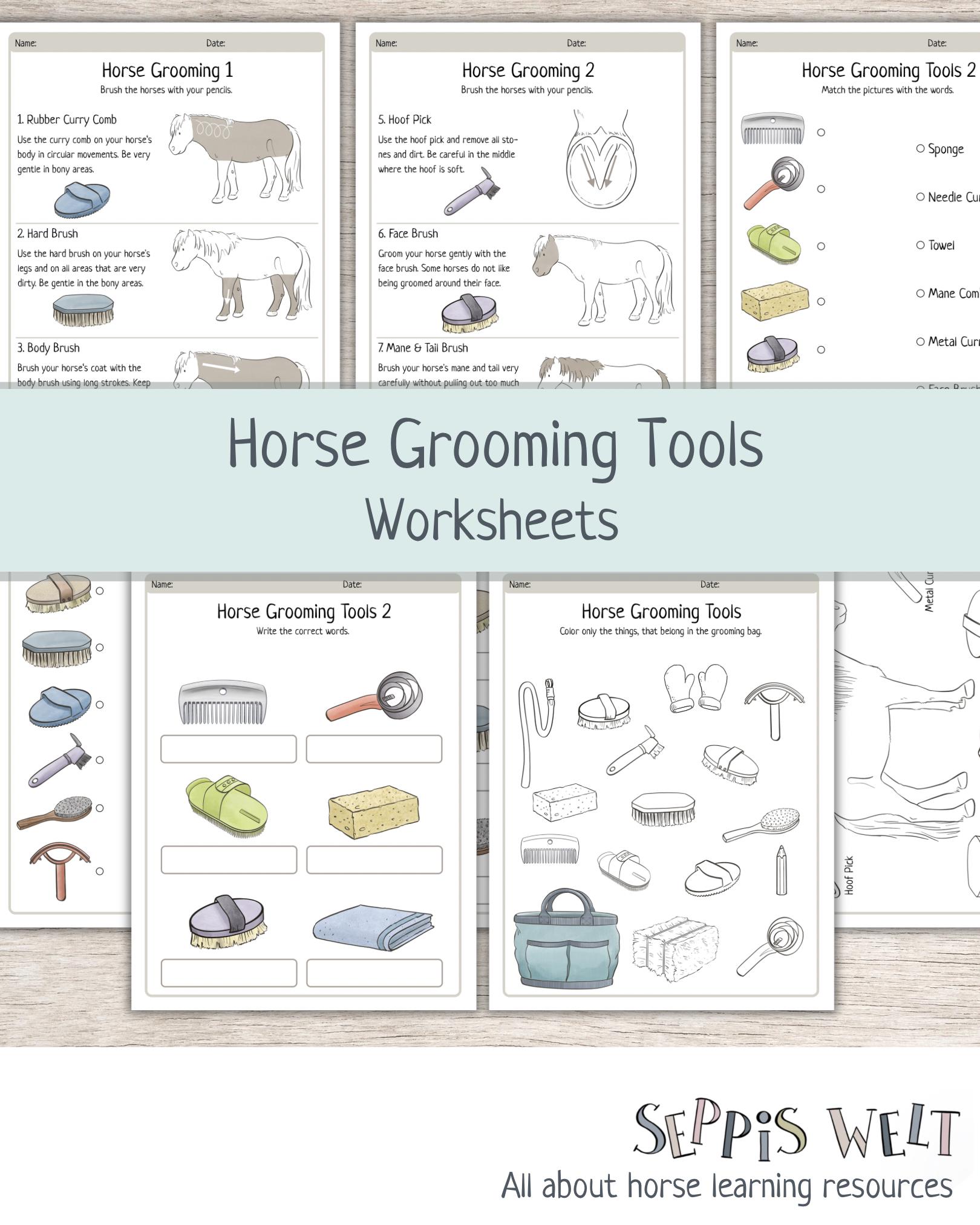 Horse Grooming Tools Printable Worksheets – Horse Care Activity Pages ...