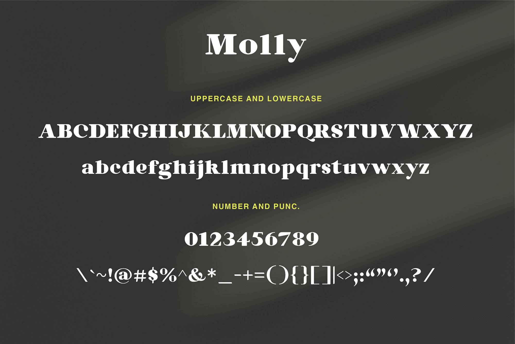 Molly Font, Modern Typeface, Premium Font, Digital Font, Display ...