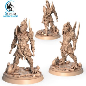 Elf Sword Master Dual Wield - Signum Games - Fantasy Dungeons and ...