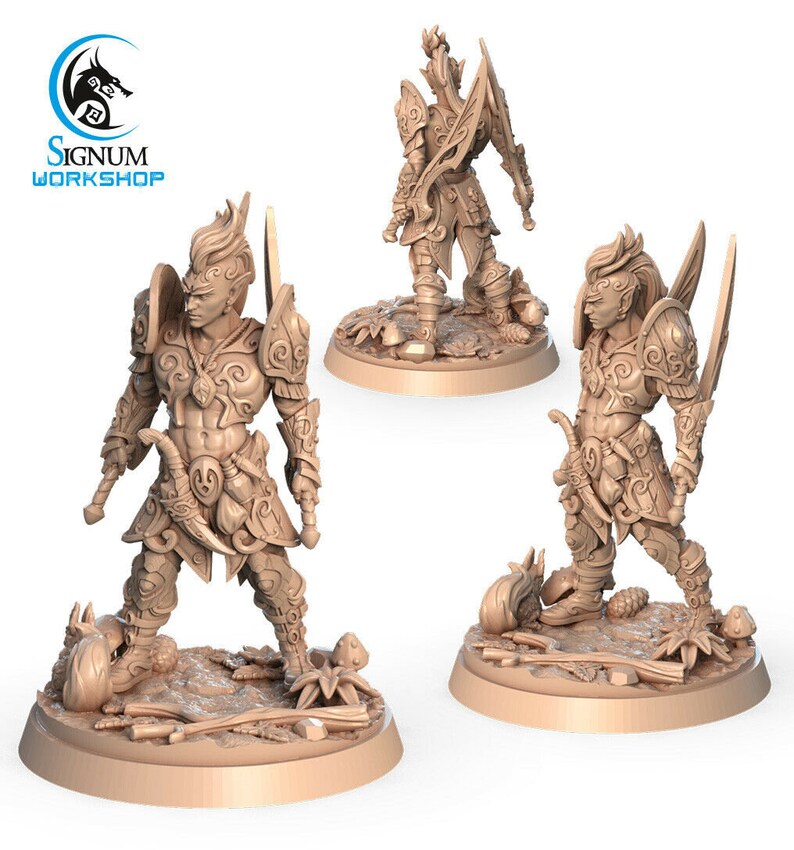 Elf Sword Master Dual Wield - Signum Games - Fantasy Dungeons and ...