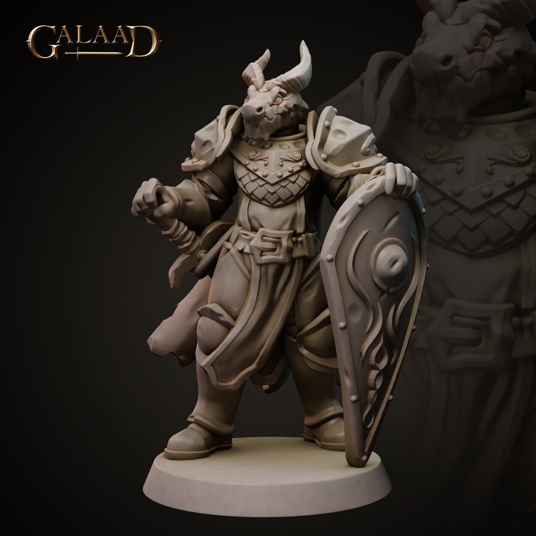 Knight A - Paladin - Galaad Miniatures - Dungeons and Dragons - Etsy